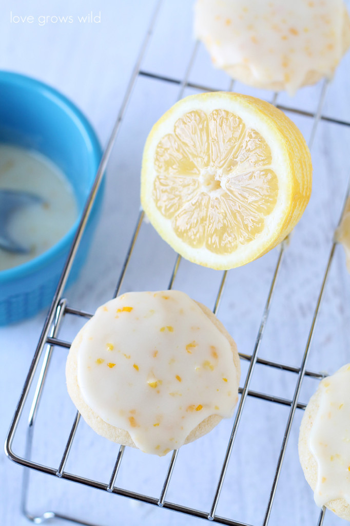 Citrus Doodle Cookies - Love Grows Wild