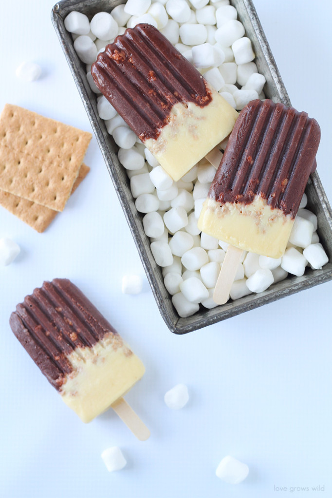S'mores Popsicles - Love Grows Wild
