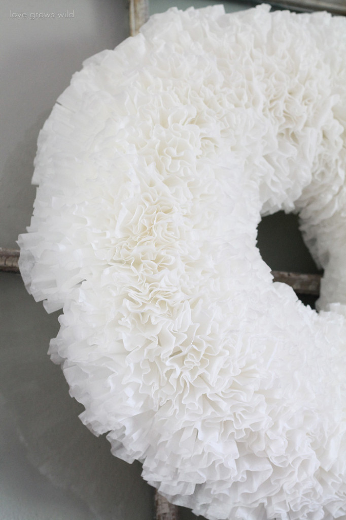 Canvas Scroll Wall Art - Love Grows Wild