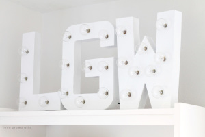 DIY Marquee Letters - Love Grows Wild