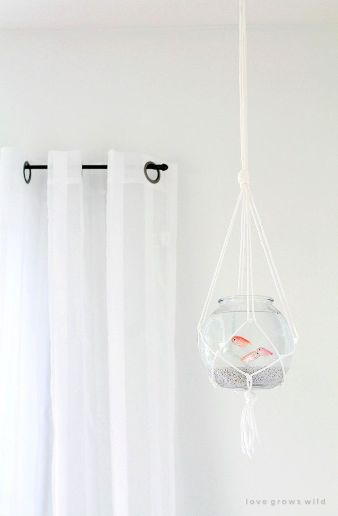 Hanging Macrame Fish Bowl - Love Grows Wild