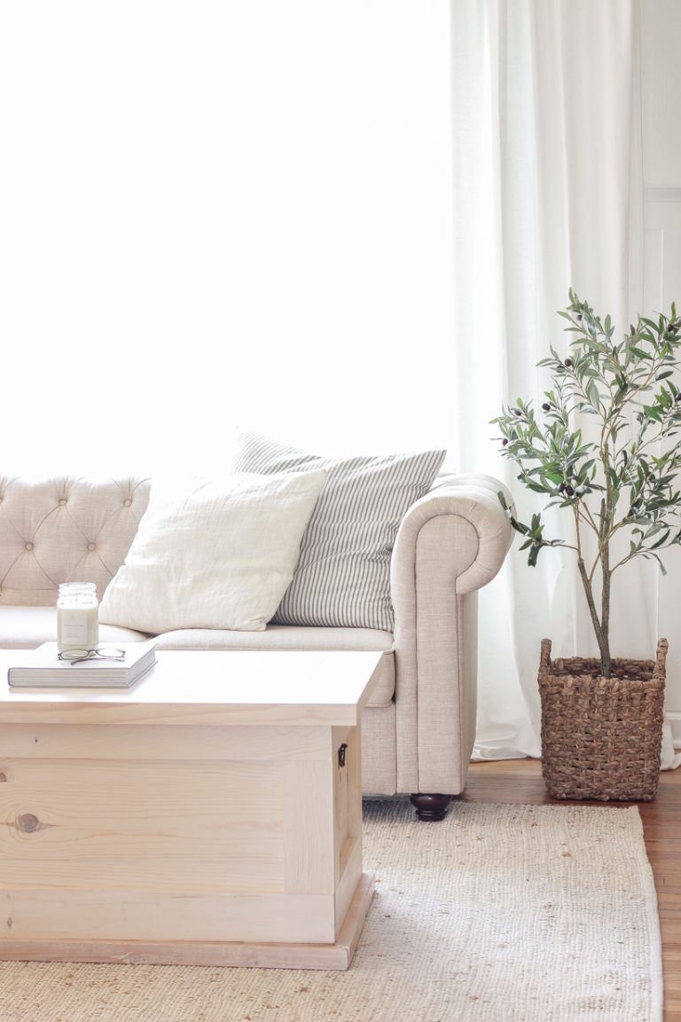 DIY Storage Trunk - Love Grows Wild