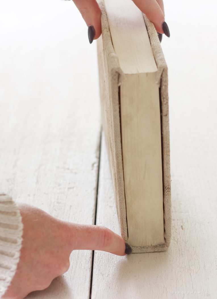 Distressed Canvas Covered Books - Love Grows Wild