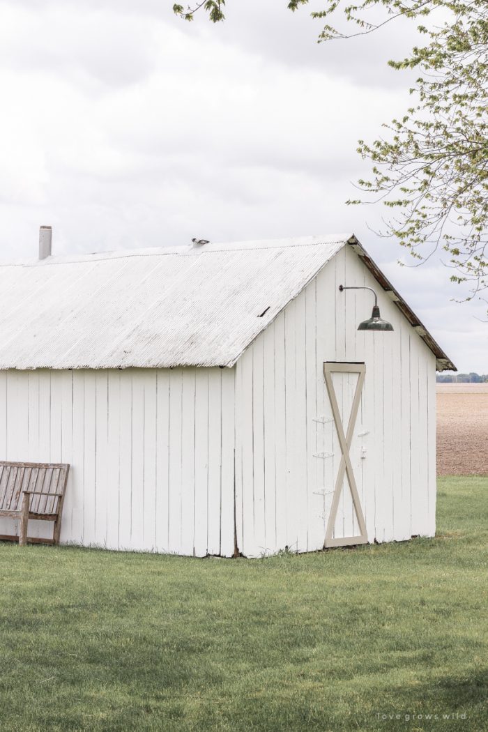 Barn Makeover | Paint and Trim - Love Grows Wild