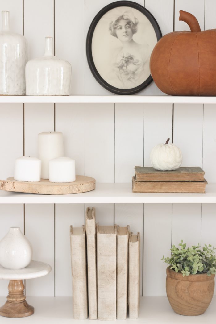 Fall Bookcase Decor - Love Grows Wild