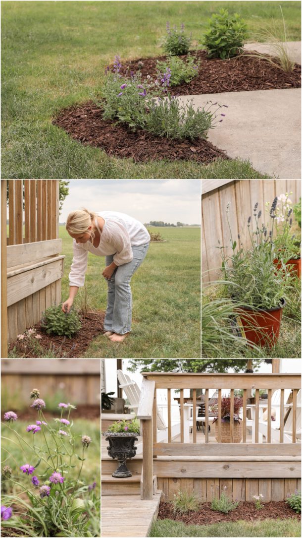 6 Steps to Create a New Flower Bed - Love Grows Wild