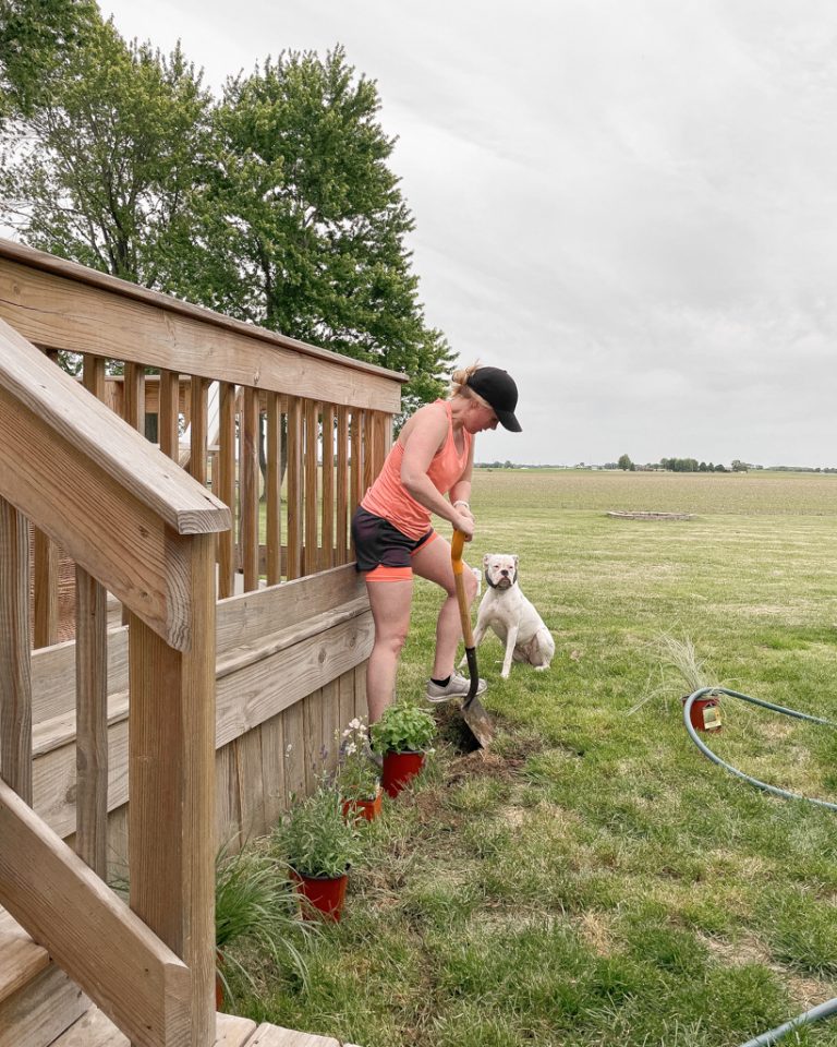 6 Steps to Create a New Flower Bed - Love Grows Wild