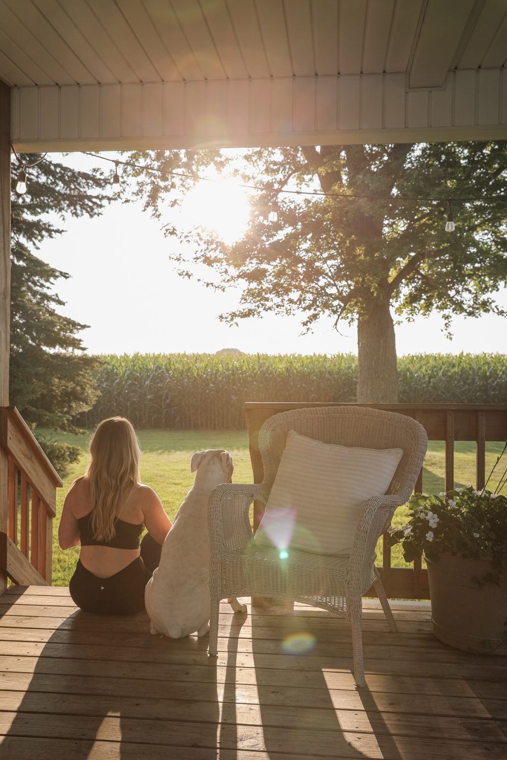 Morning Sunlight: The Simple Daily Habit That Can Improve Your Sleep ...